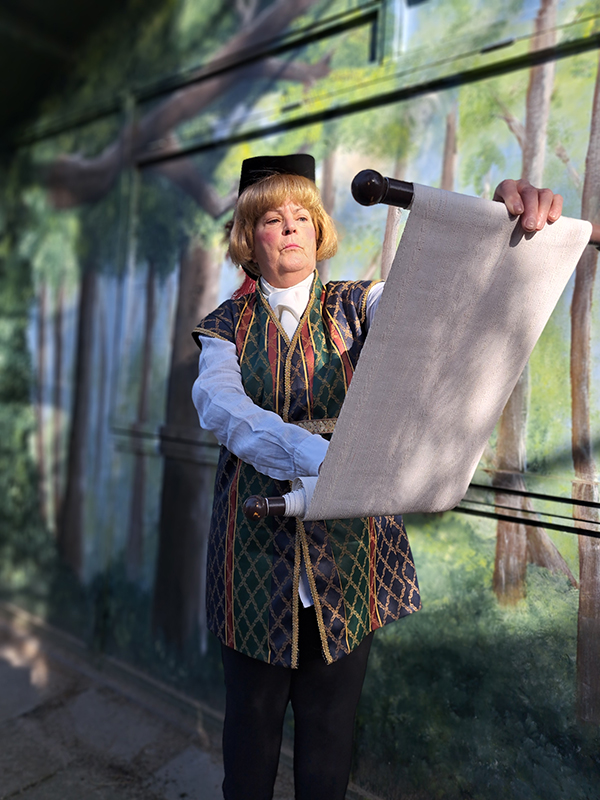 Programma – Openluchttheaters Nederland